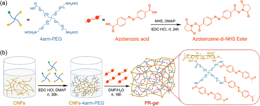 4-Arm-PEG-Acrylate - CD Bioparticles