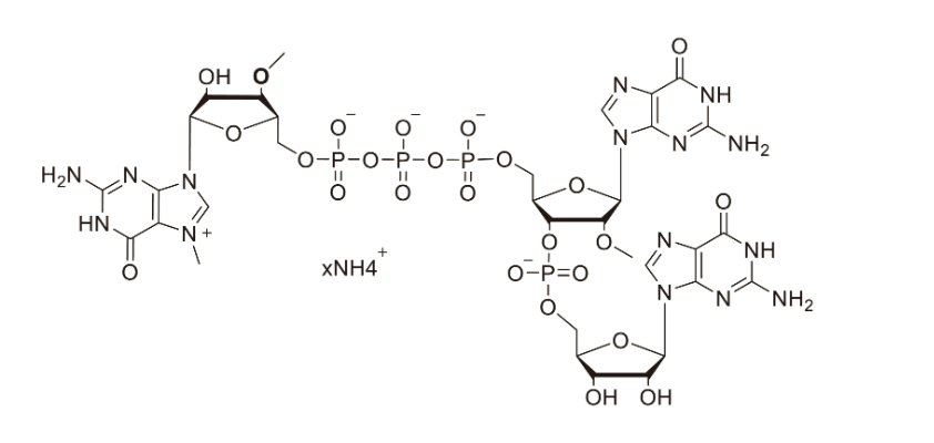 CAP GGG (3'OMe) - CD Bioparticles
