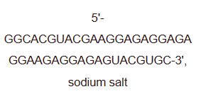 RNA aptamer mango ΙΙ sodium - CD Bioparticles