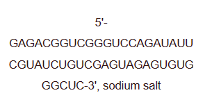 RNA aptamer broccoli sodium - CD Bioparticles