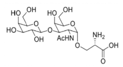 Serinyl T Epitope Core 1 Ser - CD Bioparticles