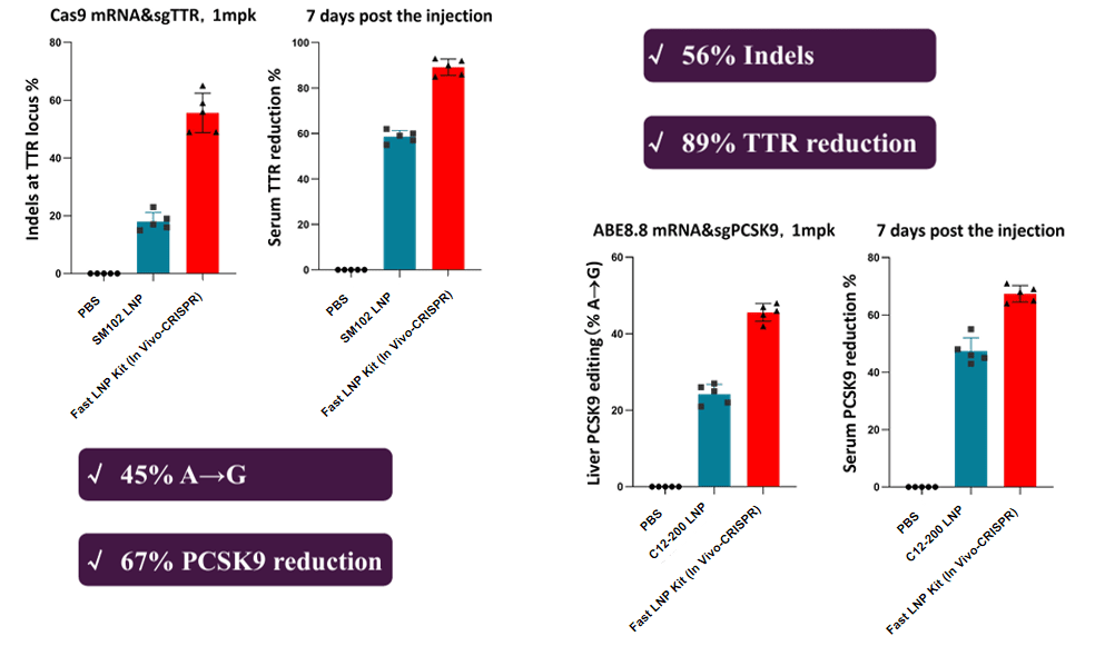 Fast LNP Kit (In Vivo-CRISPR) - CD Bioparticles