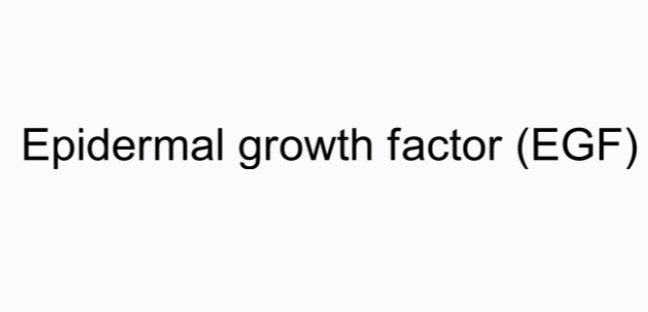 Epidermal Growth Factor (EGF) - CD Bioparticles
