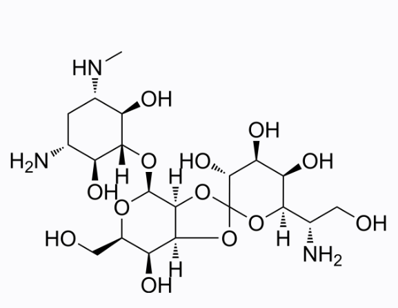 Hygromycin B - CD Bioparticles