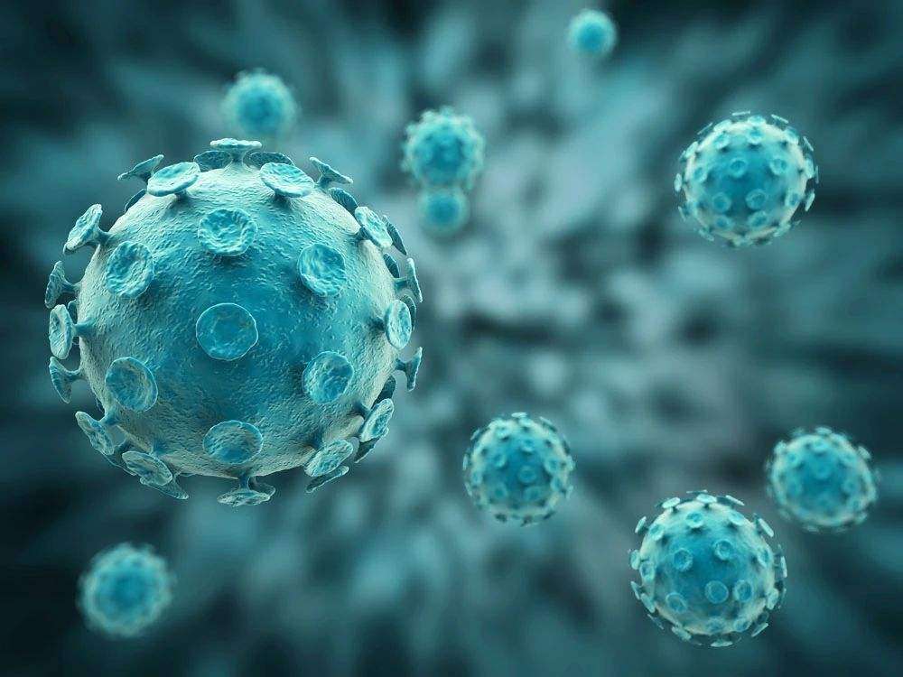 AAV Services - CD Bioparticles