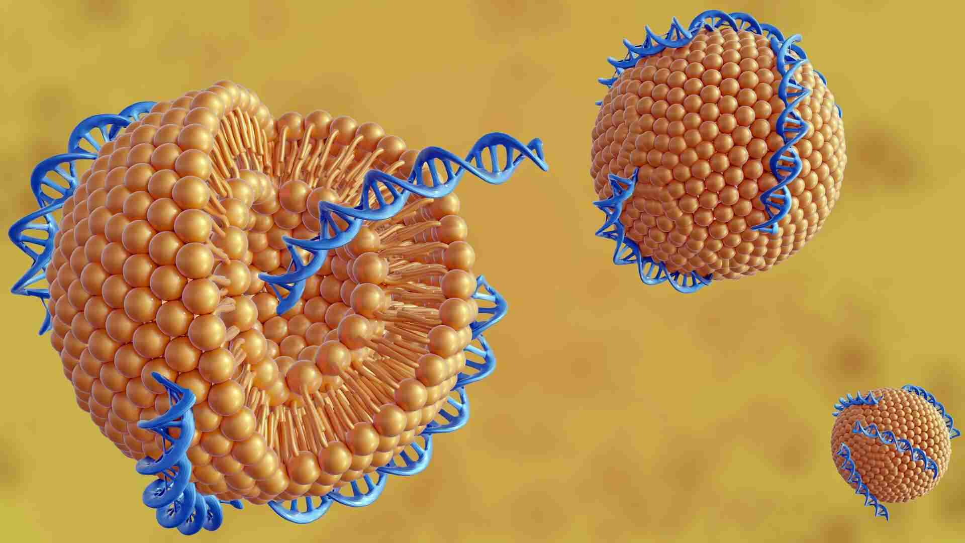Liposomes Revolutionizing Targeted Drug Delivery - CD Bioparticles