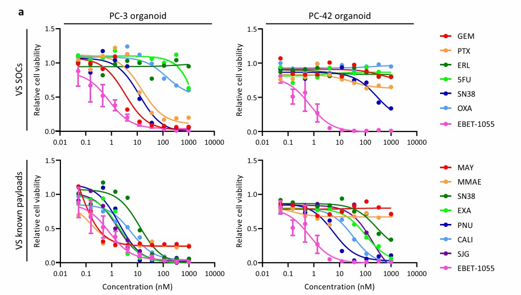Organoid Drug Sensitivity Testing Service - CD Bioparticles