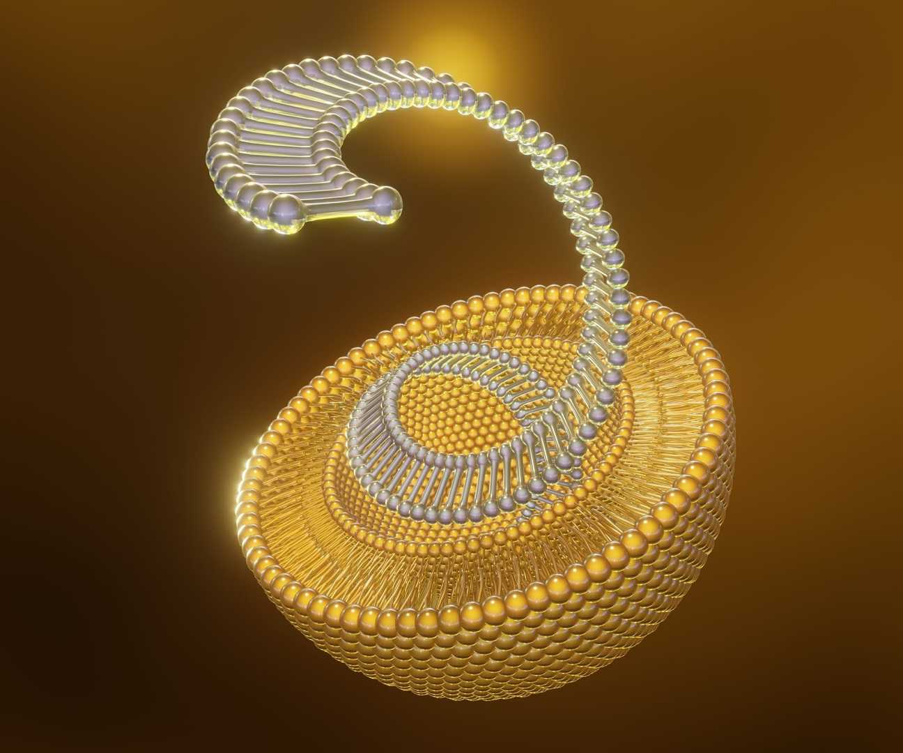Precise Solid Lipid Nanoparticles - CD Bioparticles